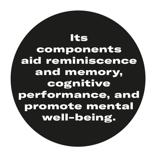 MMM...Memo! | Zuccari